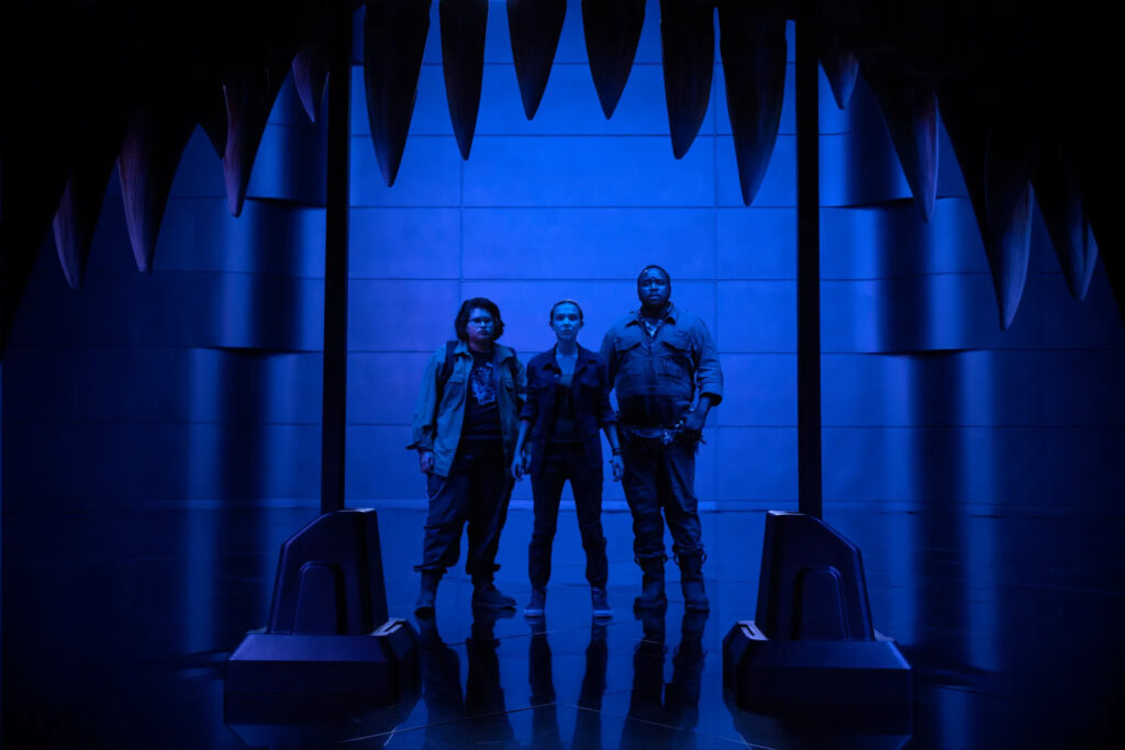 Ann Foley – Costume Designer