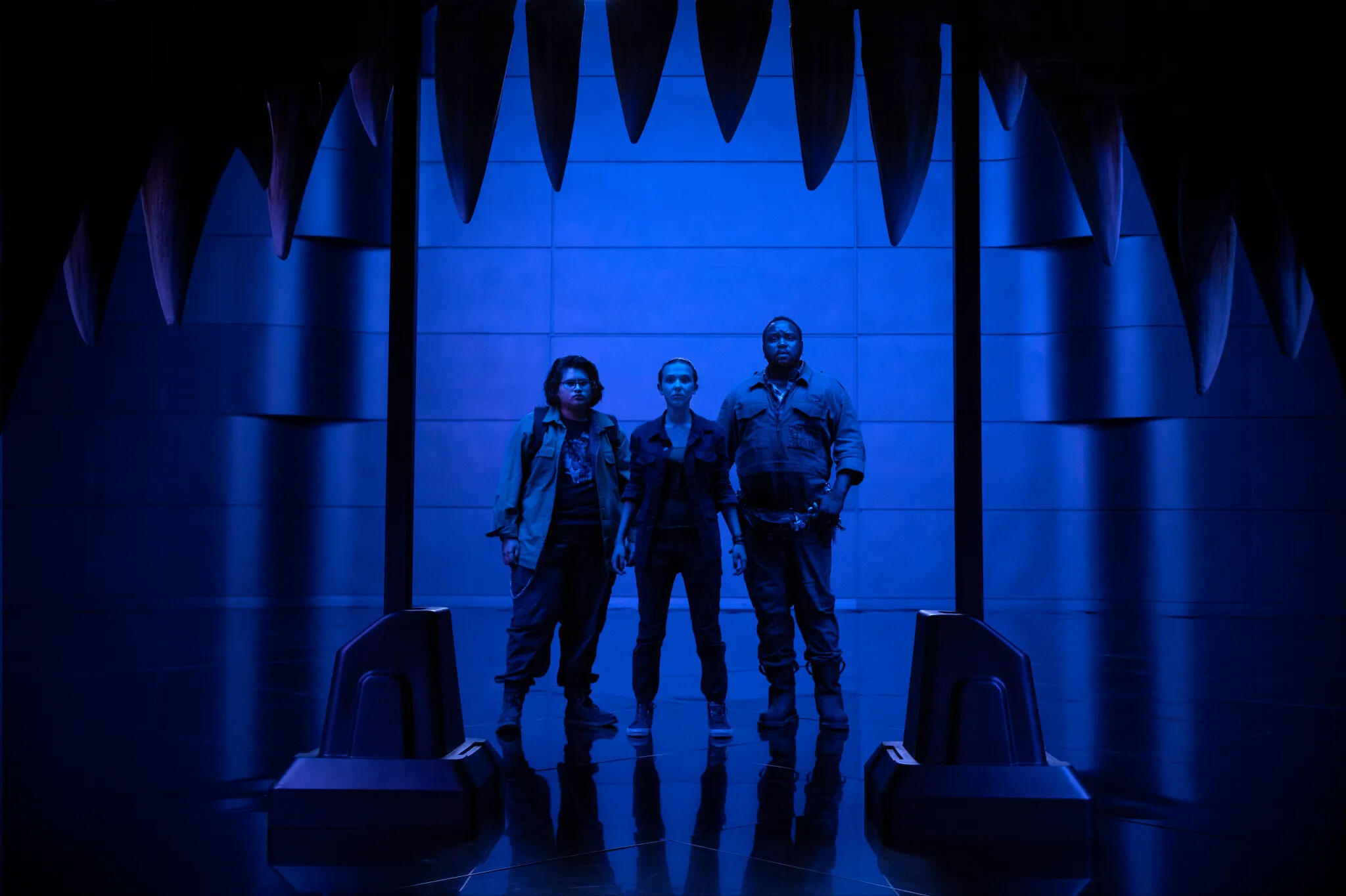 Ann Foley – Costume Designer